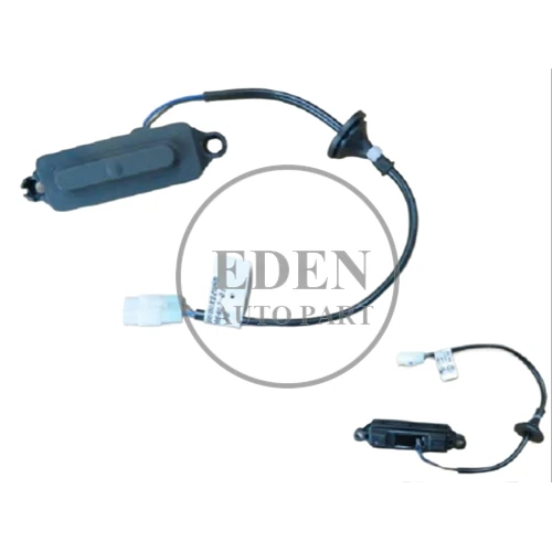 3608600XSZ08B HAVAL DARGO Back door handle micro switch GWM HAVAL AUTO ...